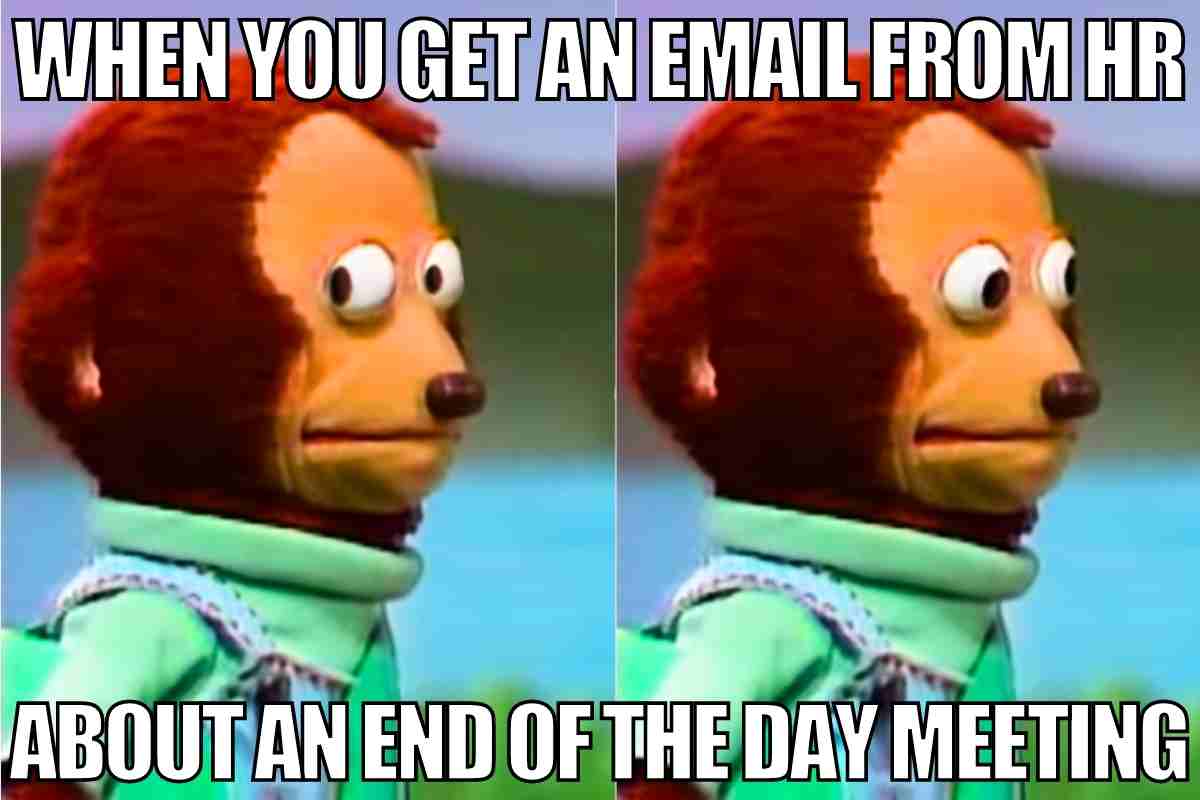 20 Hilarious Monkey Memes To Instantly Brighten Your Day