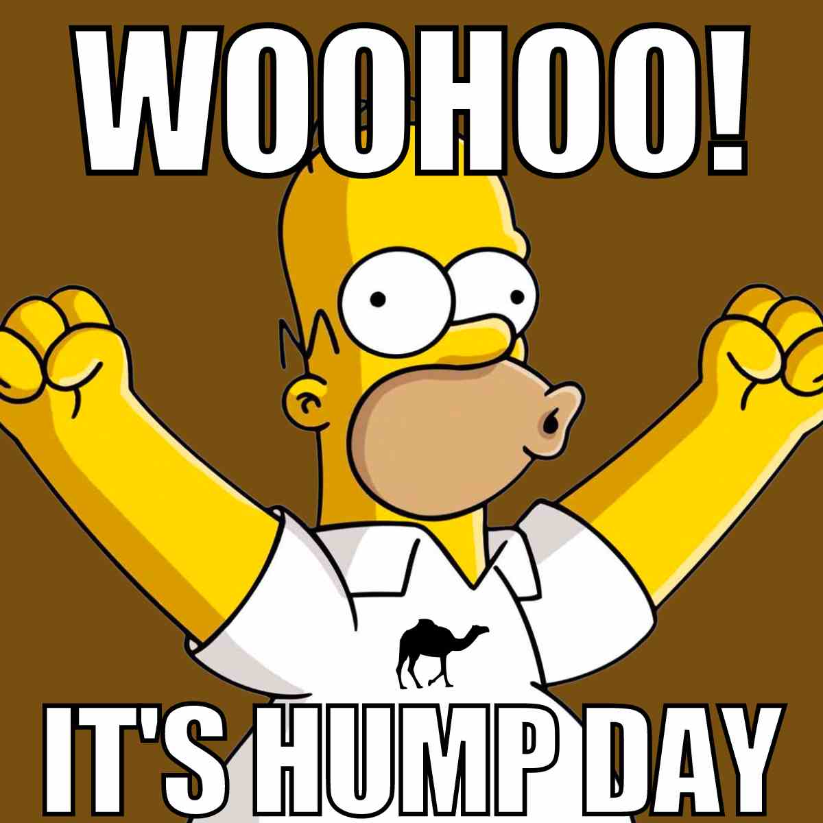 30 Hump Day Memes To Help You Laugh Thru Wednesday