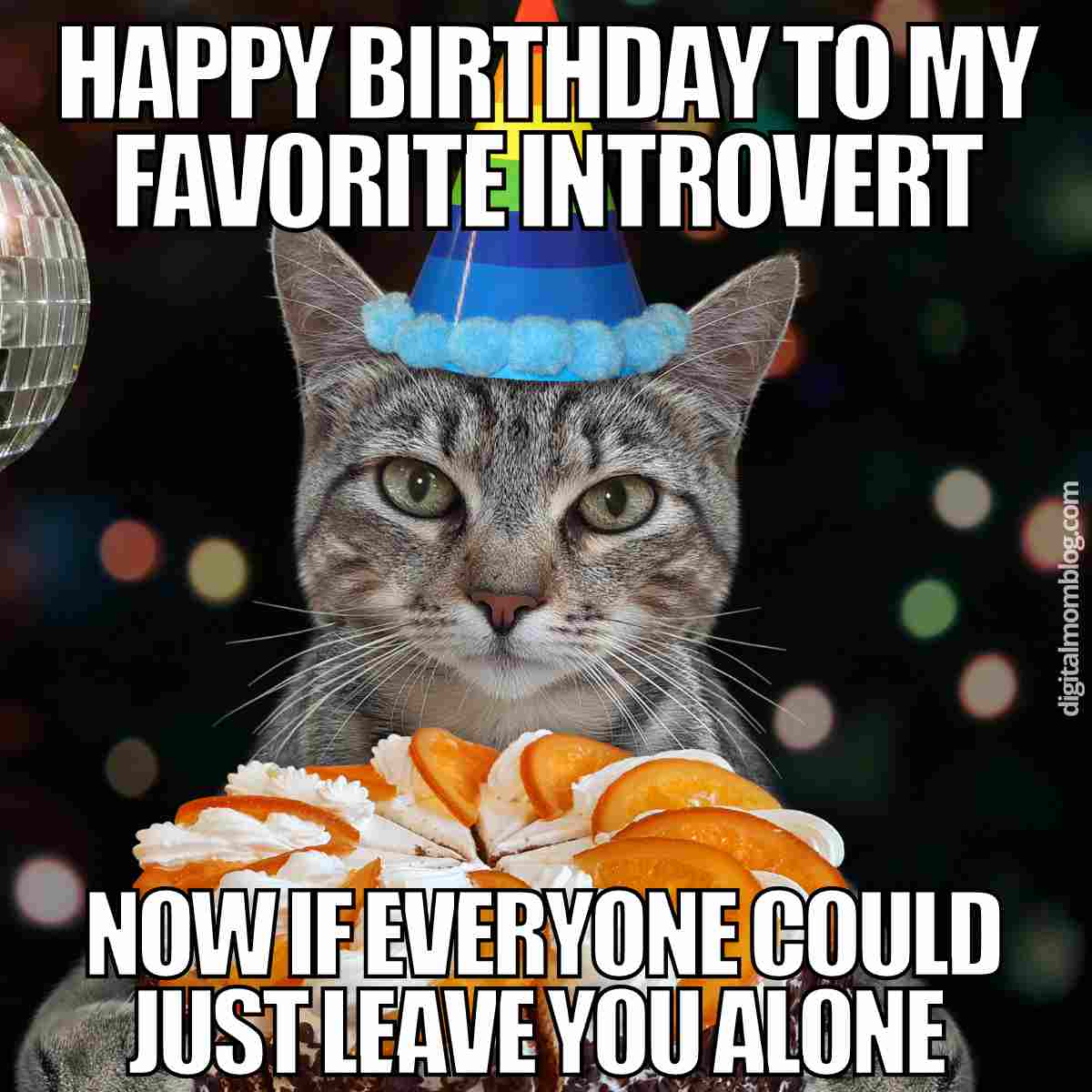 50 Funny Introvert Memes That Will Make You Say OMG Thats Me