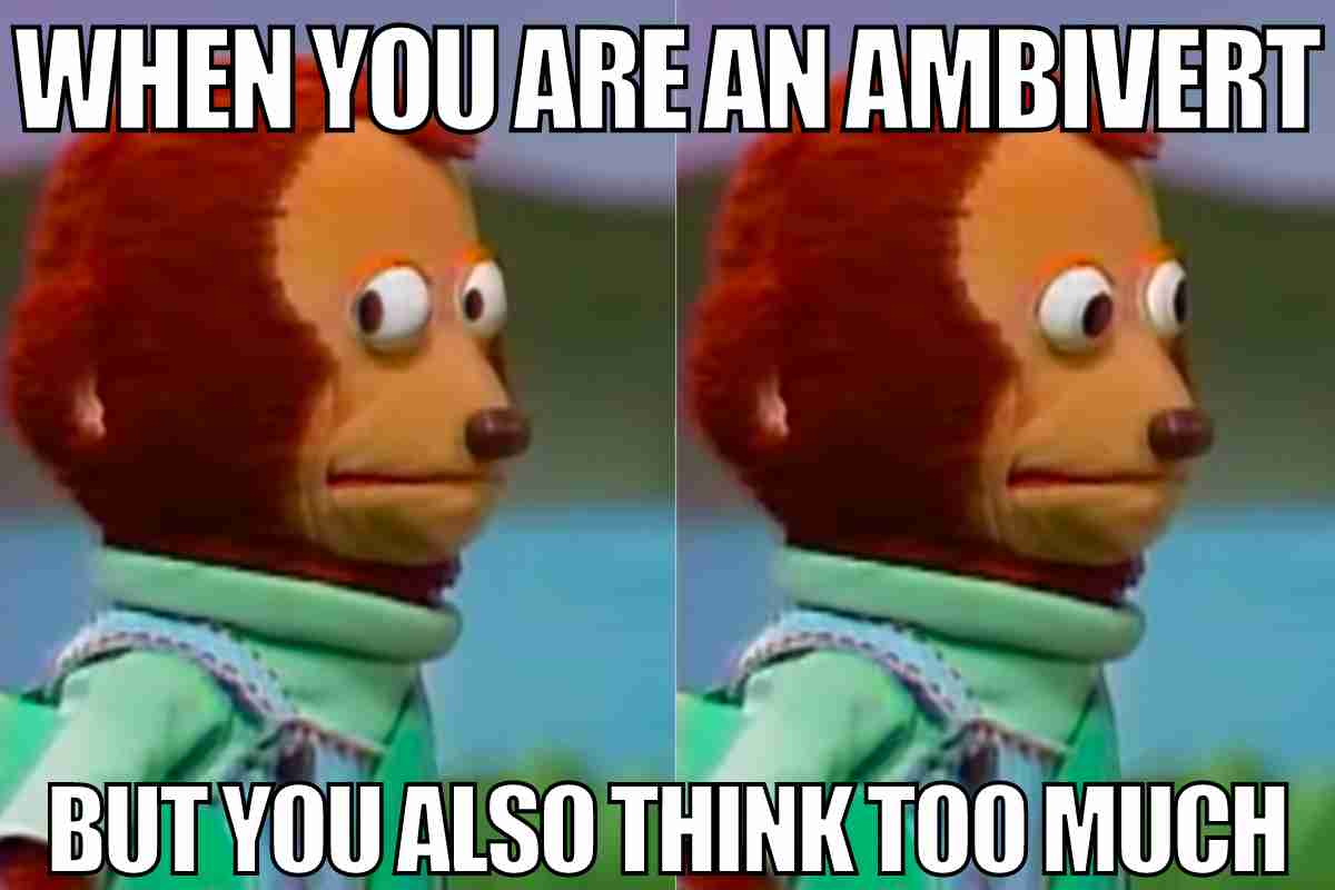 50 Funny Introvert Memes That Will Make You Say OMG Thats Me