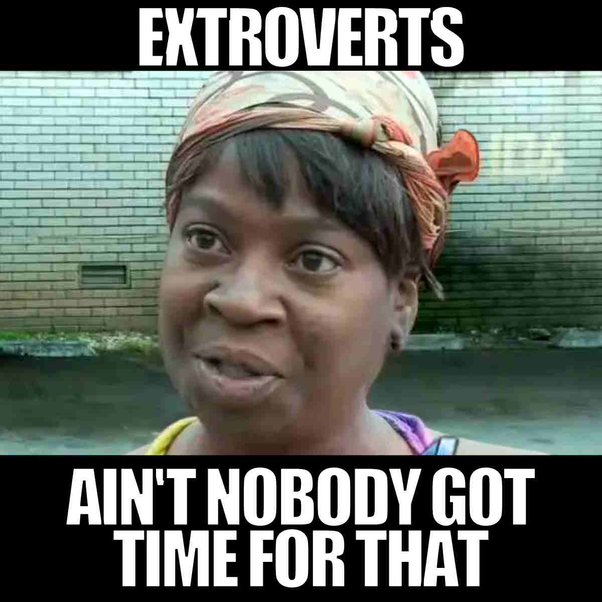 50 Funny Introvert Memes That Will Make You Say OMG Thats Me