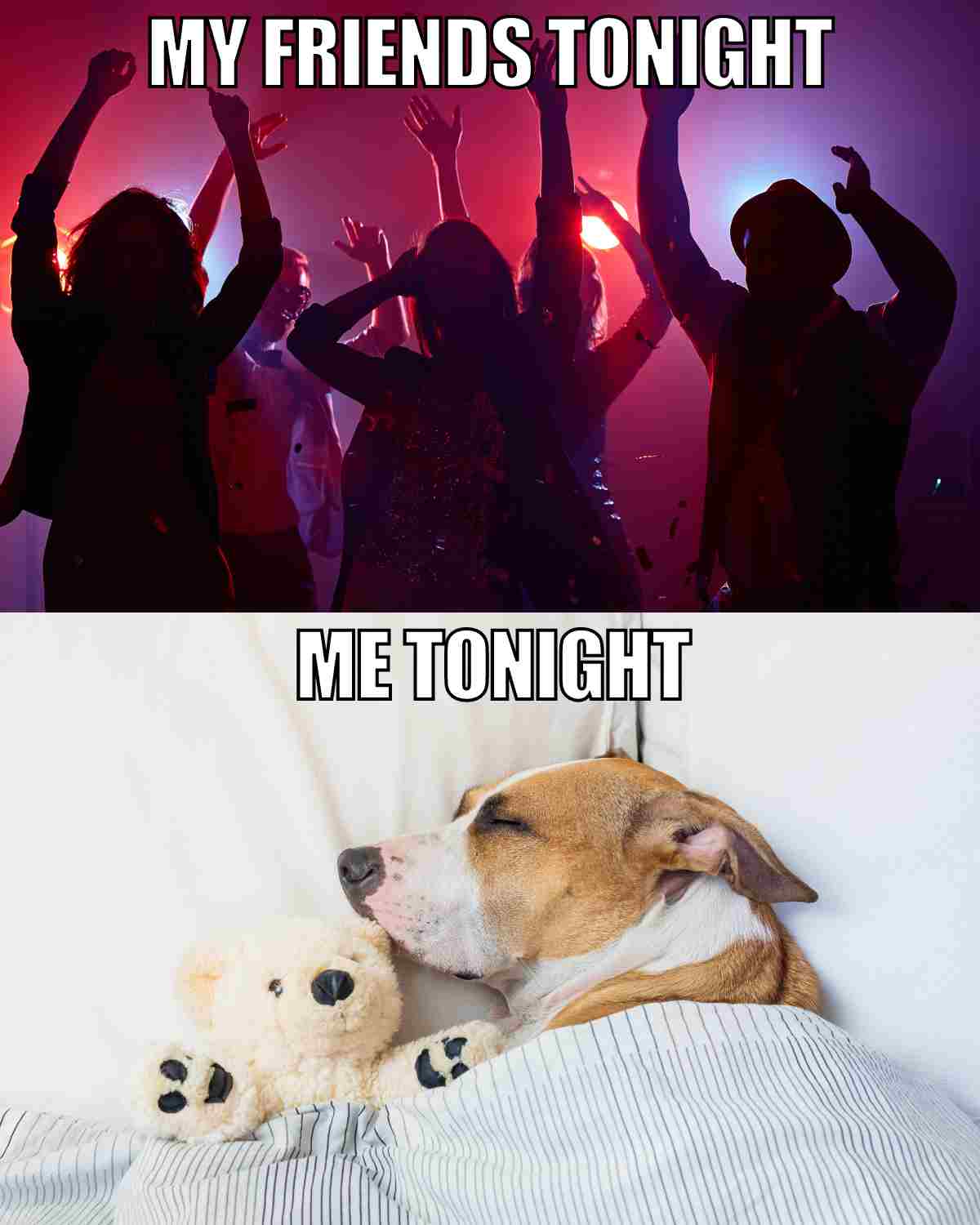 50 Funny Introvert Memes That Will Make You Say OMG Thats Me