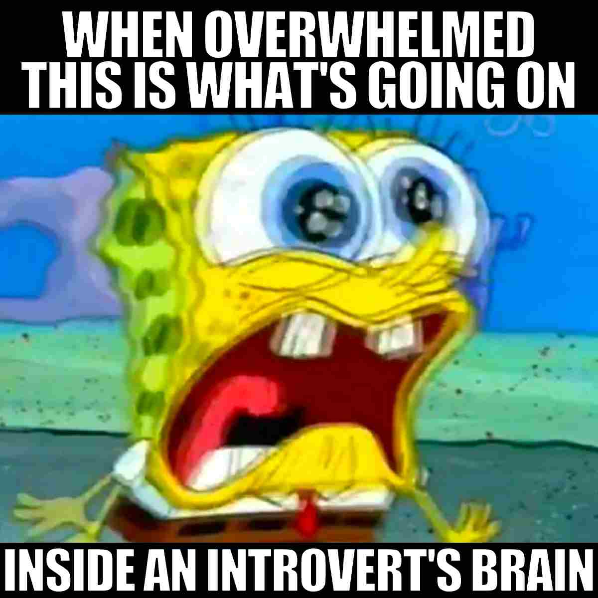 50 Funny Introvert Memes That Will Make You Say OMG Thats Me