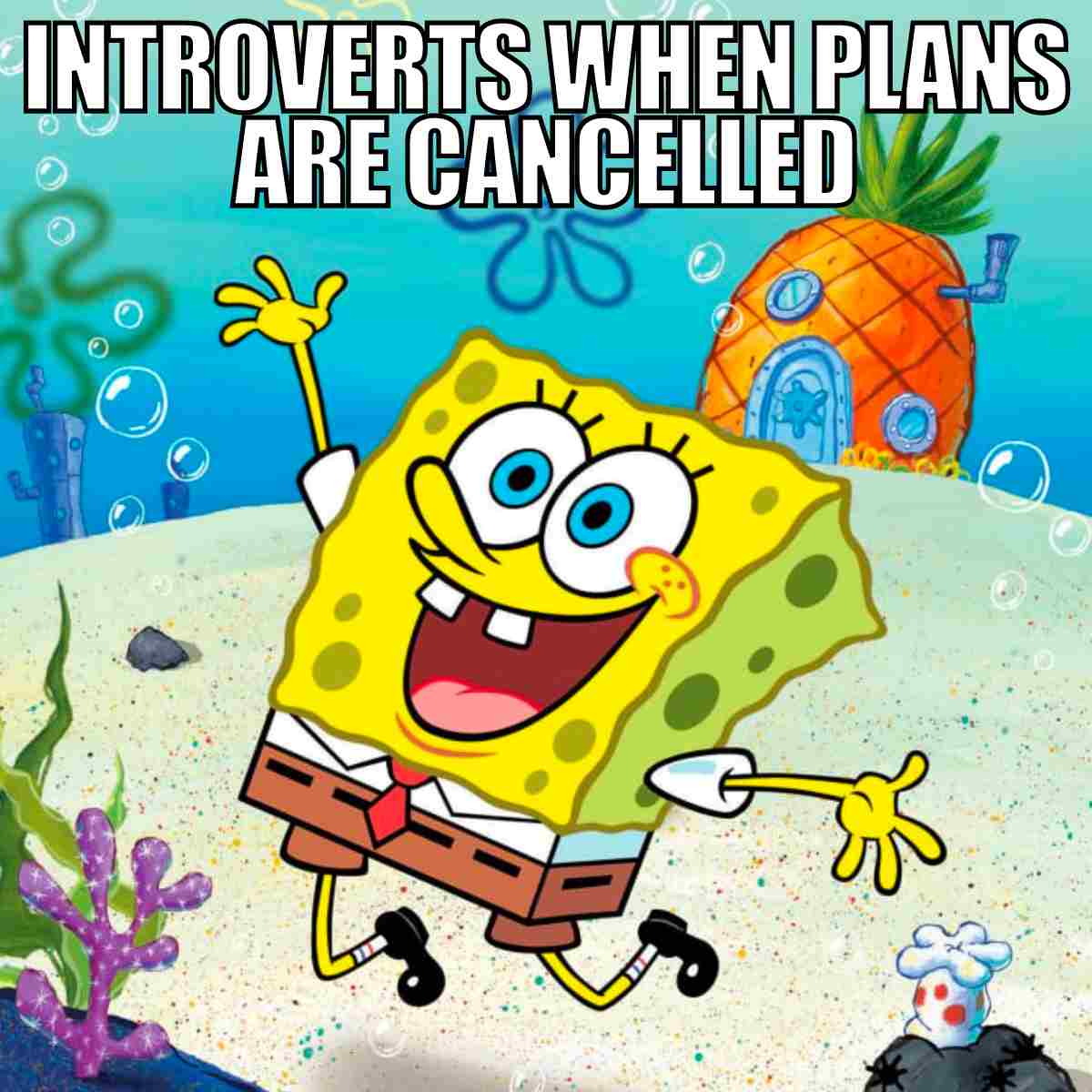 50 Funny Introvert Memes That Will Make You Say OMG Thats Me
