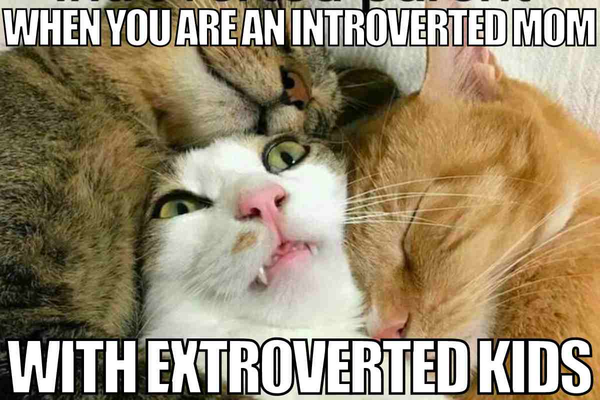 50 Funny Introvert Memes That Will Make You Say OMG Thats Me