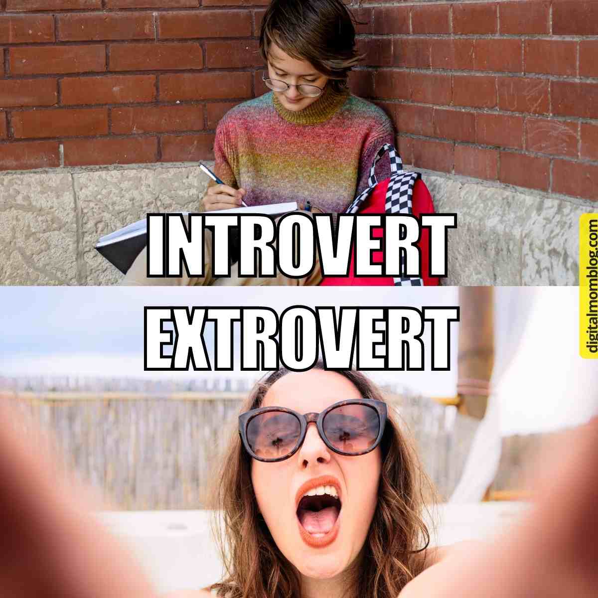 50 Funny Introvert Memes That Will Make You Say OMG Thats Me