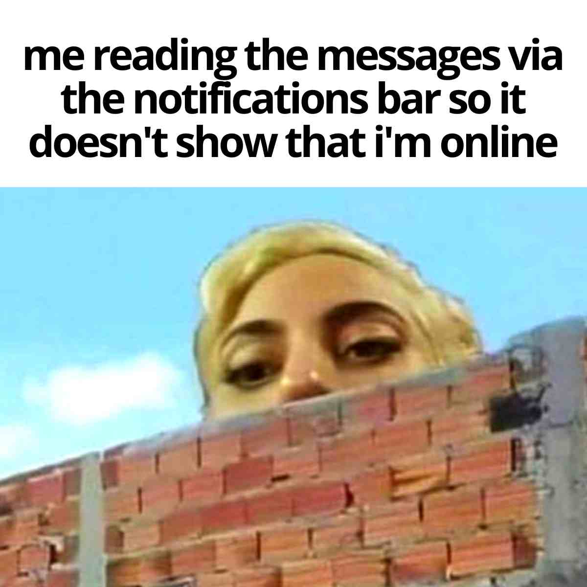 50 Funny Introvert Memes That Will Make You Say OMG Thats Me