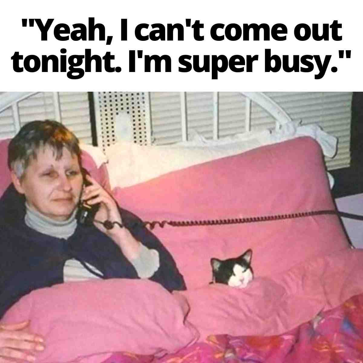 50 Funny Introvert Memes That Will Make You Say OMG Thats Me