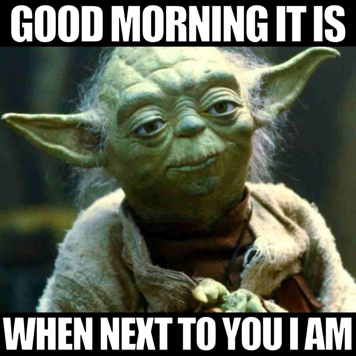 90 Best Funny Good Morning Memes To Kick Off The Day
