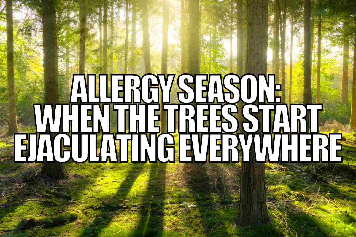 20 Best Pollen Memes To Help You Laugh Through The Sneezes