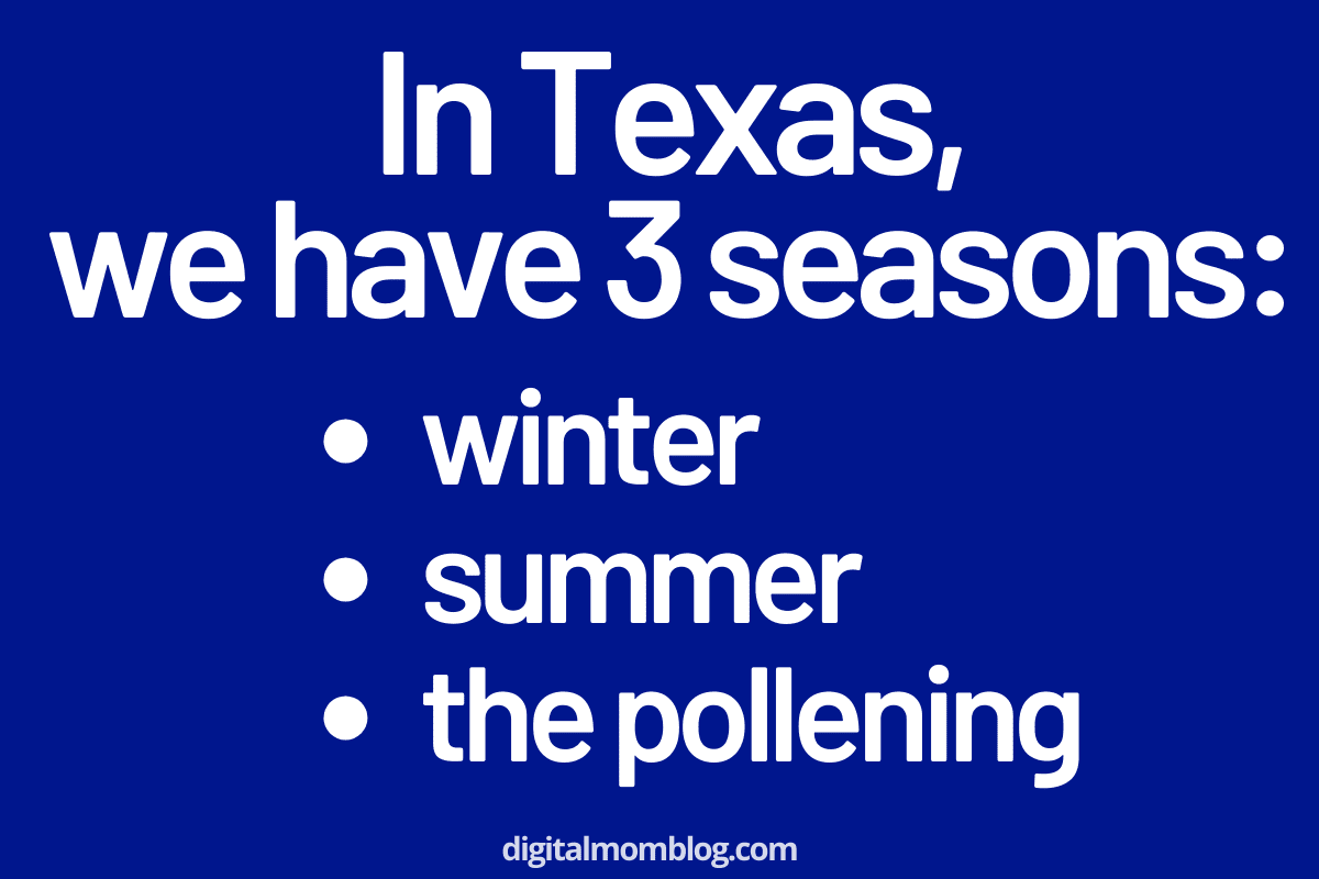 20 Best Pollen Memes To Help You Laugh Through The Sneezes