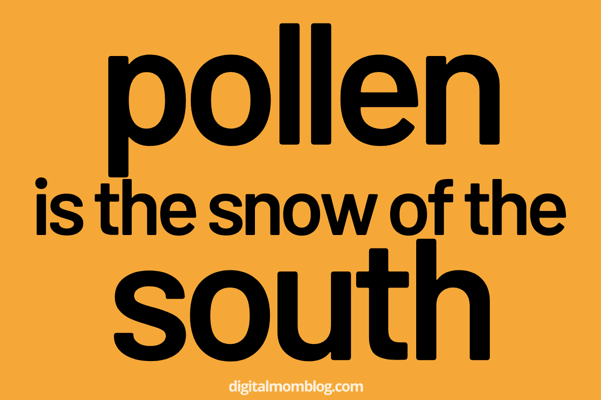 20 Best Pollen Memes To Help You Laugh Through The Sneezes