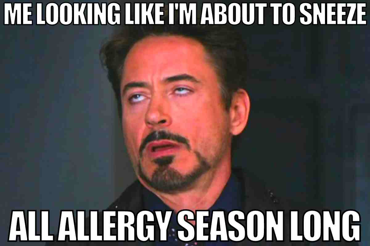 35 Funny Allergy Memes About Pollen And Seasonal Allergies