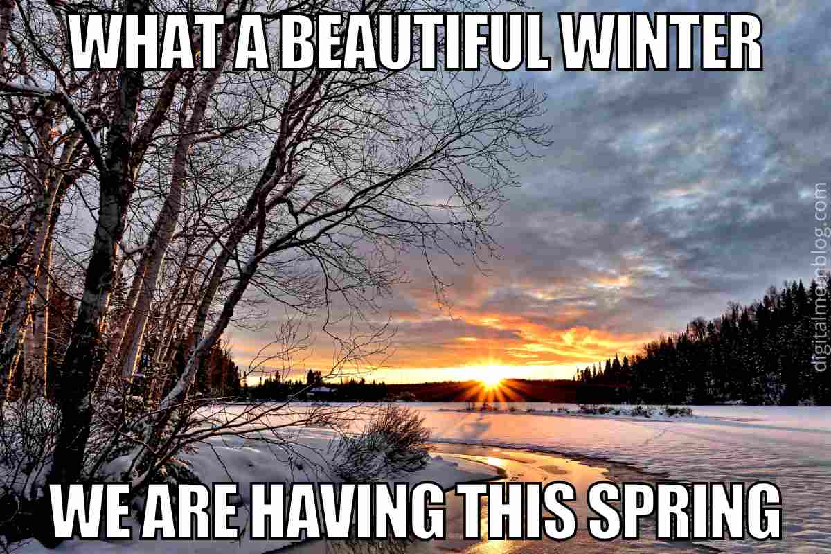 50 Funny Spring Memes To Have You Laughing All Season Long