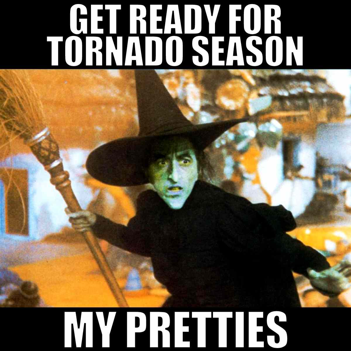 50 Funny Spring Memes To Have You Laughing All Season Long