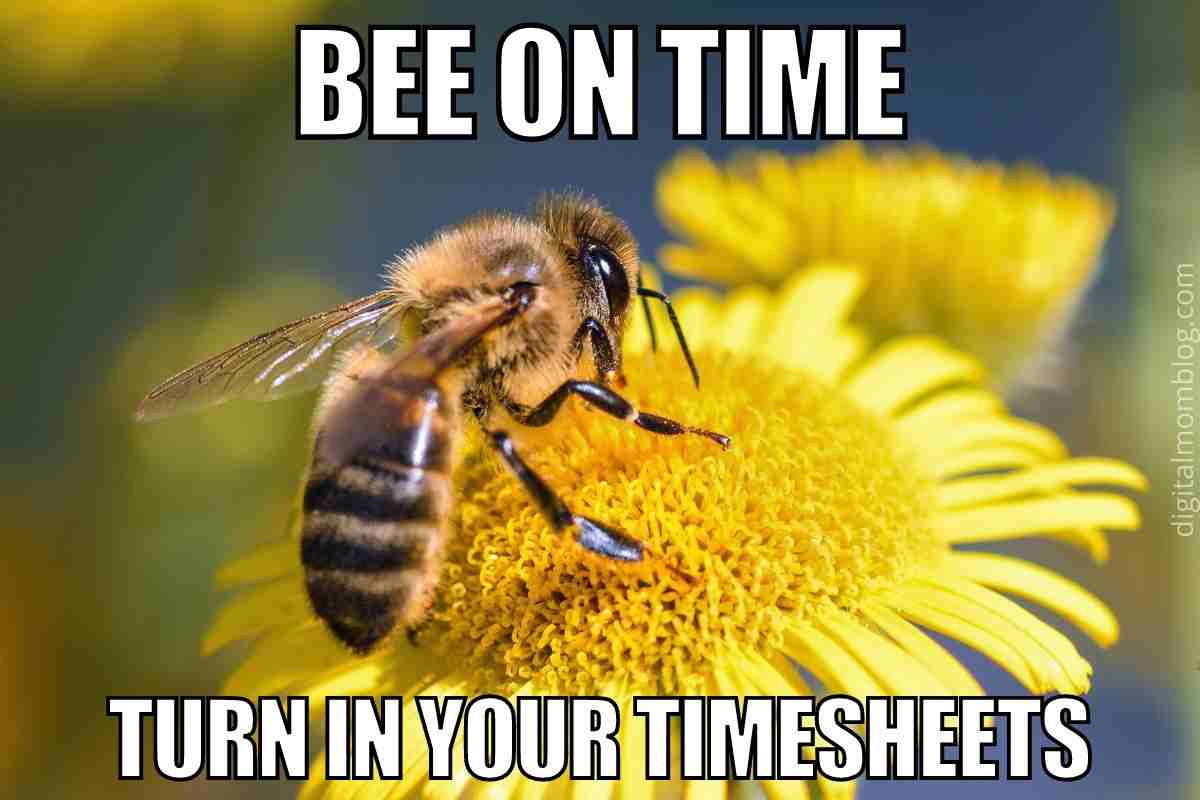 50 Funny Spring Memes To Have You Laughing All Season Long