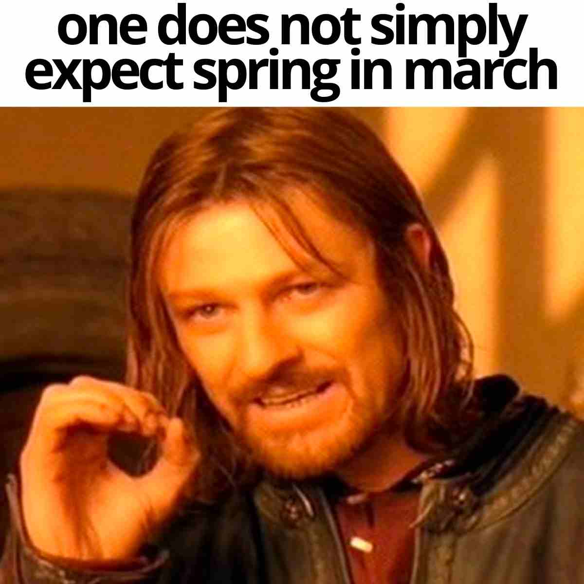 50 Funny Spring Memes To Have You Laughing All Season Long