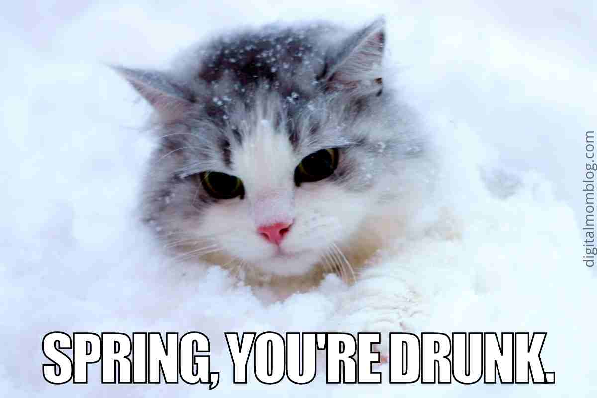 50 Funny Spring Memes To Have You Laughing All Season Long