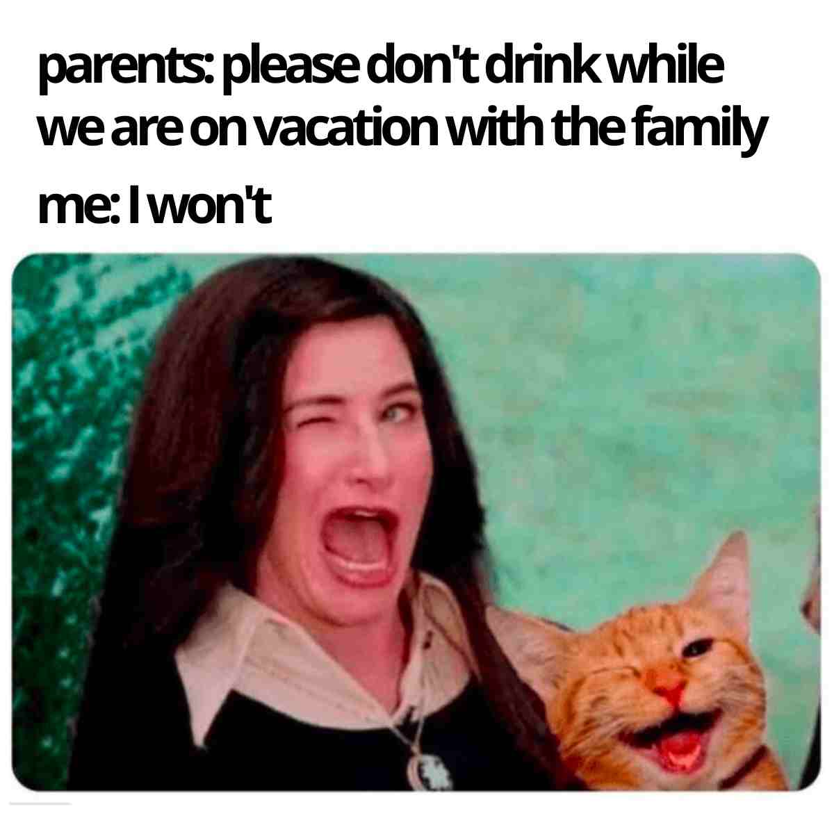 50 Hilarious Drinking Memes For Your Enjoyment