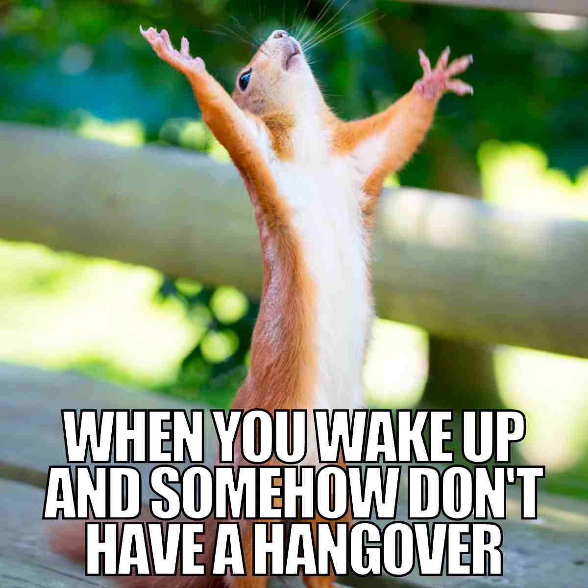 50 Hilarious Drinking Memes For Your Enjoyment