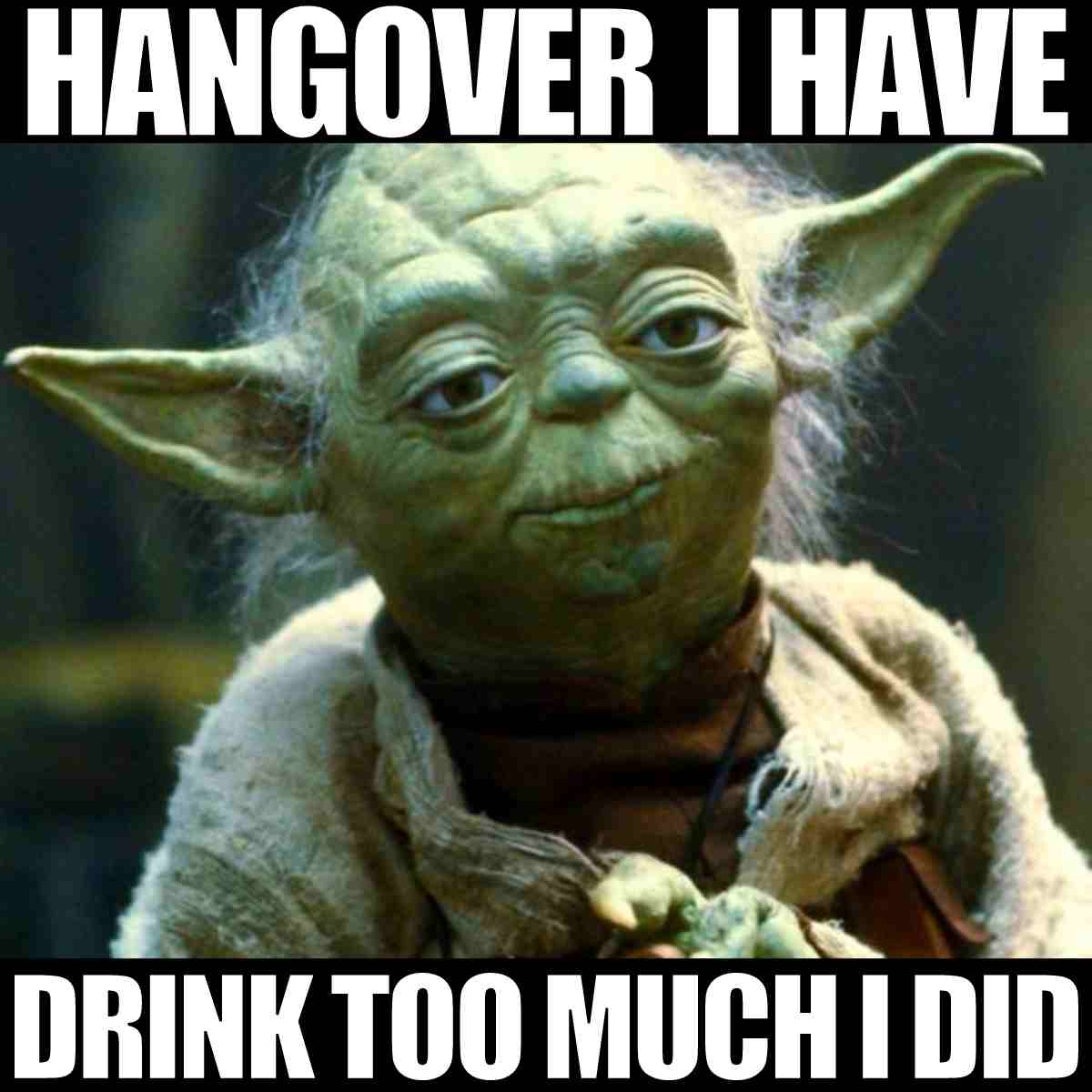50 Hilarious Drinking Memes For Your Enjoyment