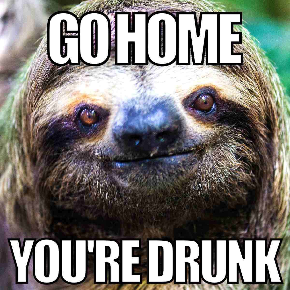 50 Hilarious Drinking Memes For Your Enjoyment