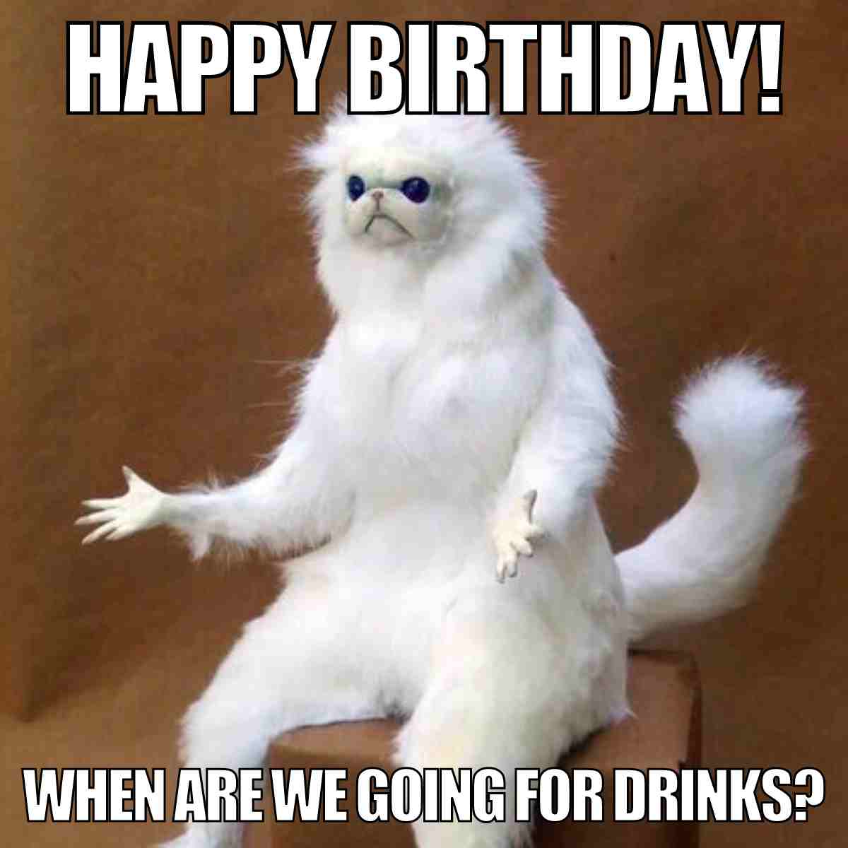 50 Hilarious Drinking Memes For Your Enjoyment