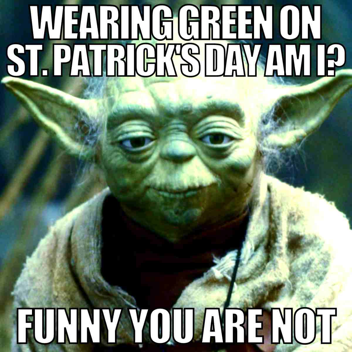 Funny St Patricks Day Memes 2024: From Leprechauns To Beer