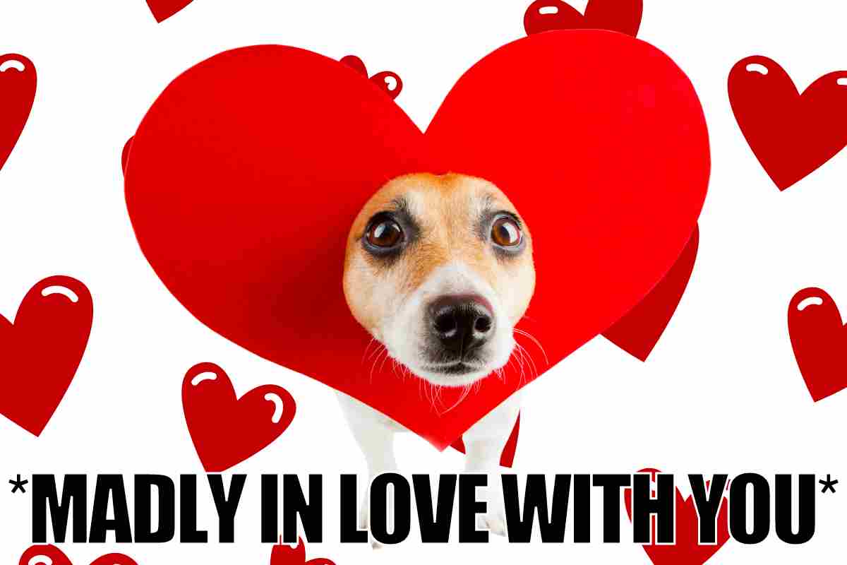 40 Best Love Memes For Expressing Your Devotion