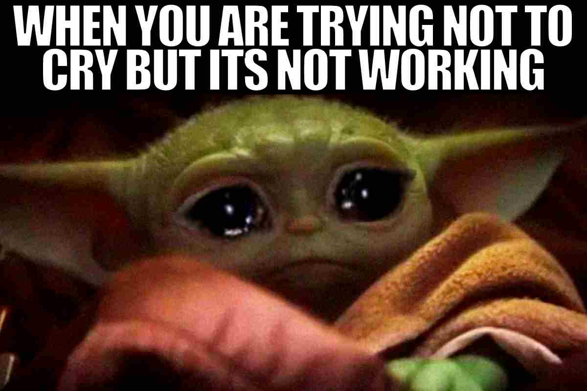 33 Crying Memes For The Crazy Rollercoaster We Call Life