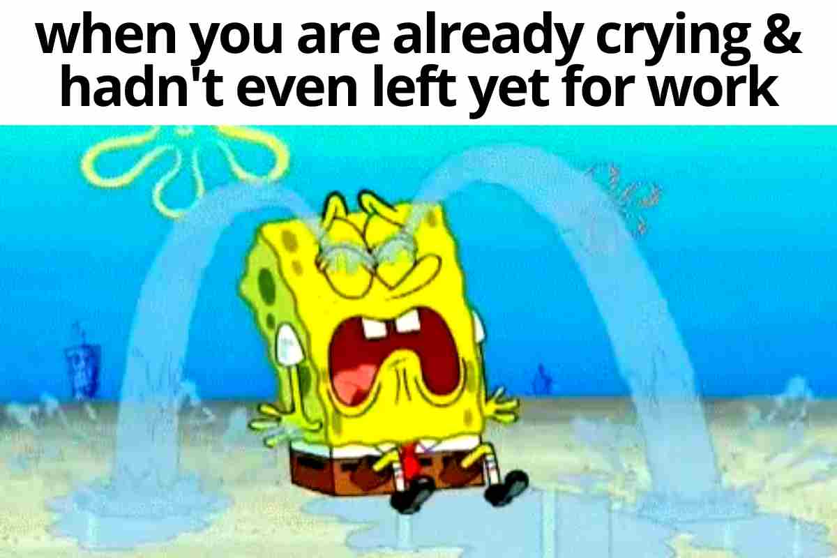 33 Crying Memes For The Crazy Rollercoaster We Call Life