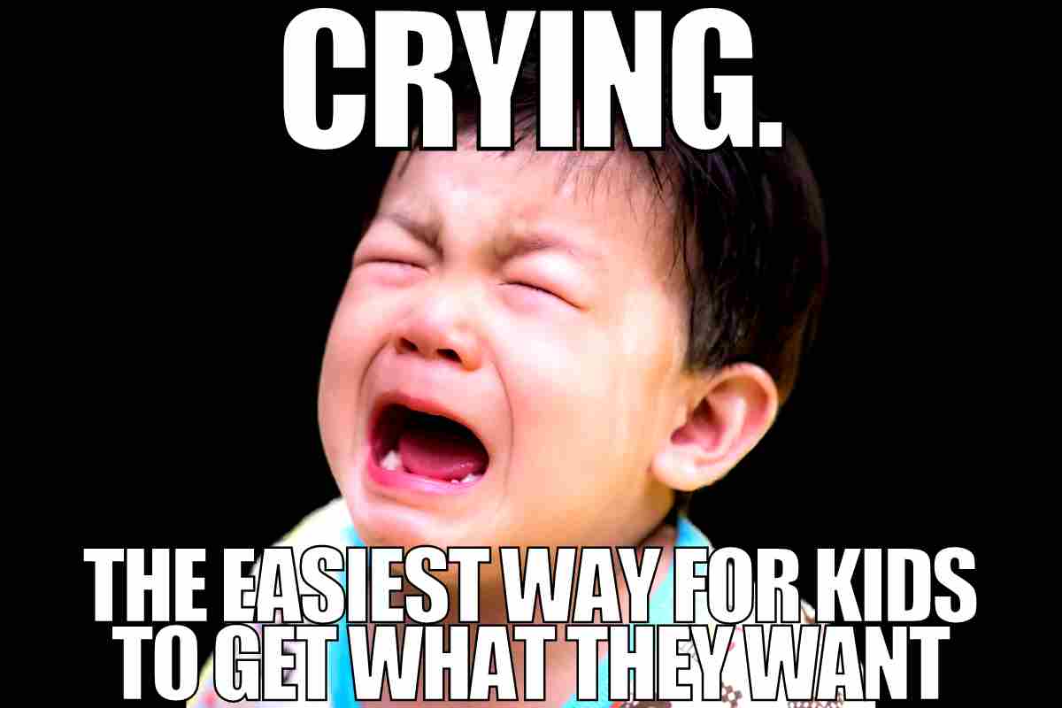 33 Crying Memes For The Crazy Rollercoaster We Call Life