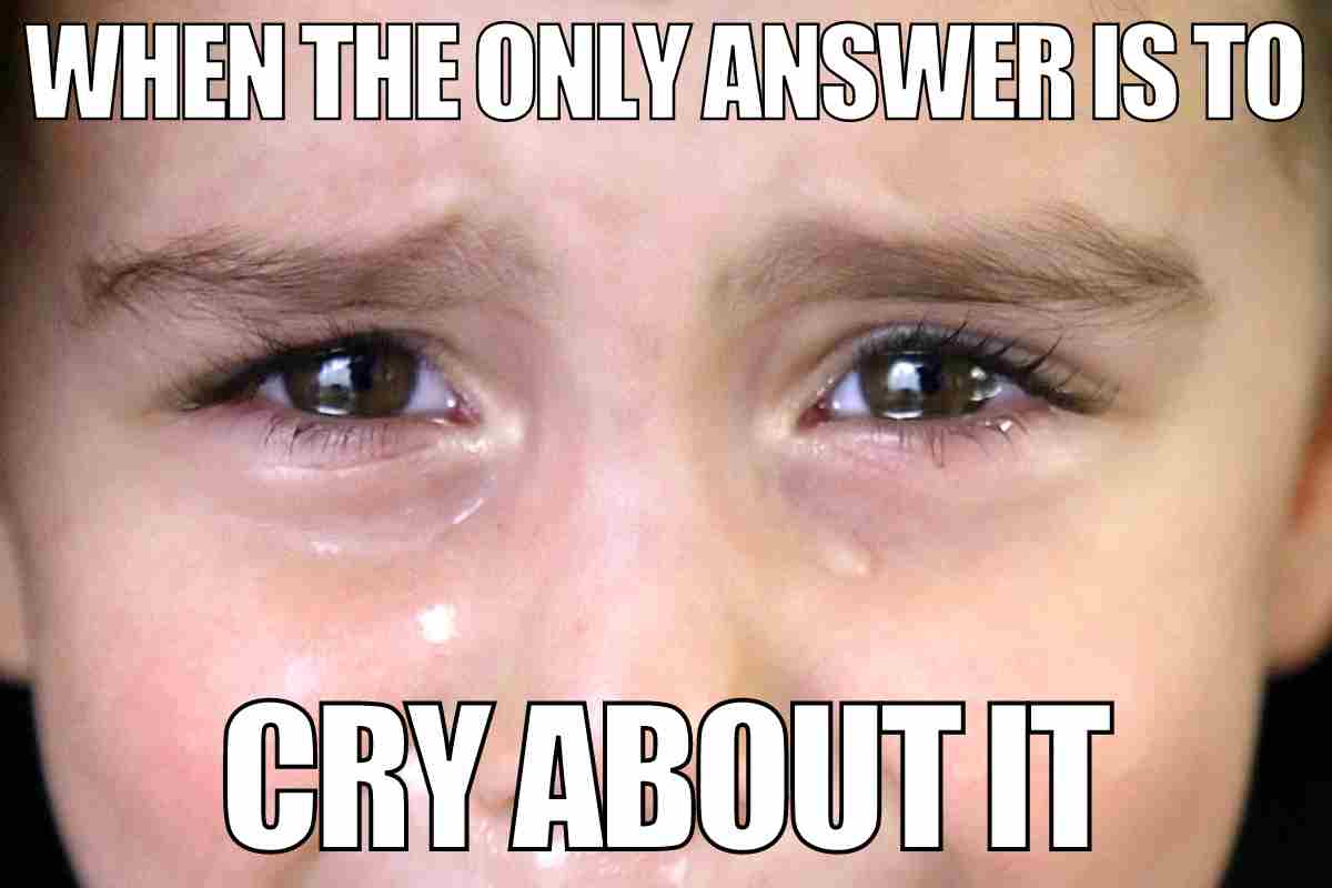 33 Crying Memes For The Crazy Rollercoaster We Call Life