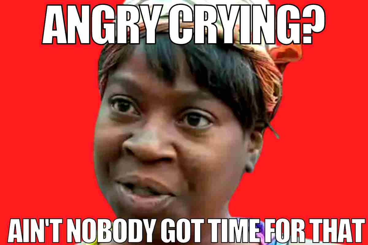 33 Crying Memes For The Crazy Rollercoaster We Call Life