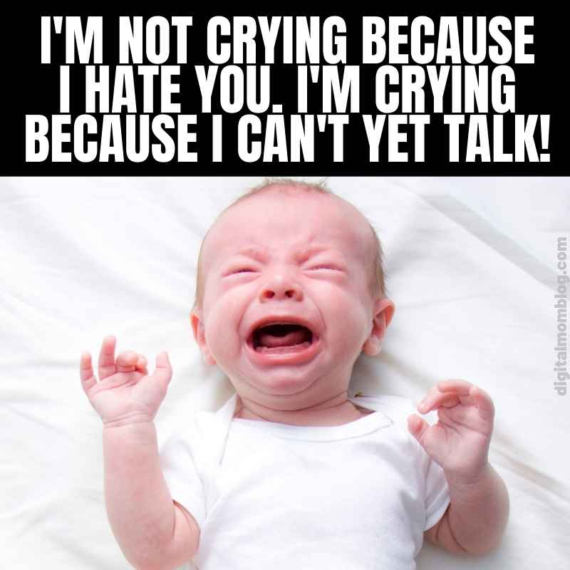 33 Crying Memes For The Crazy Rollercoaster We Call Life