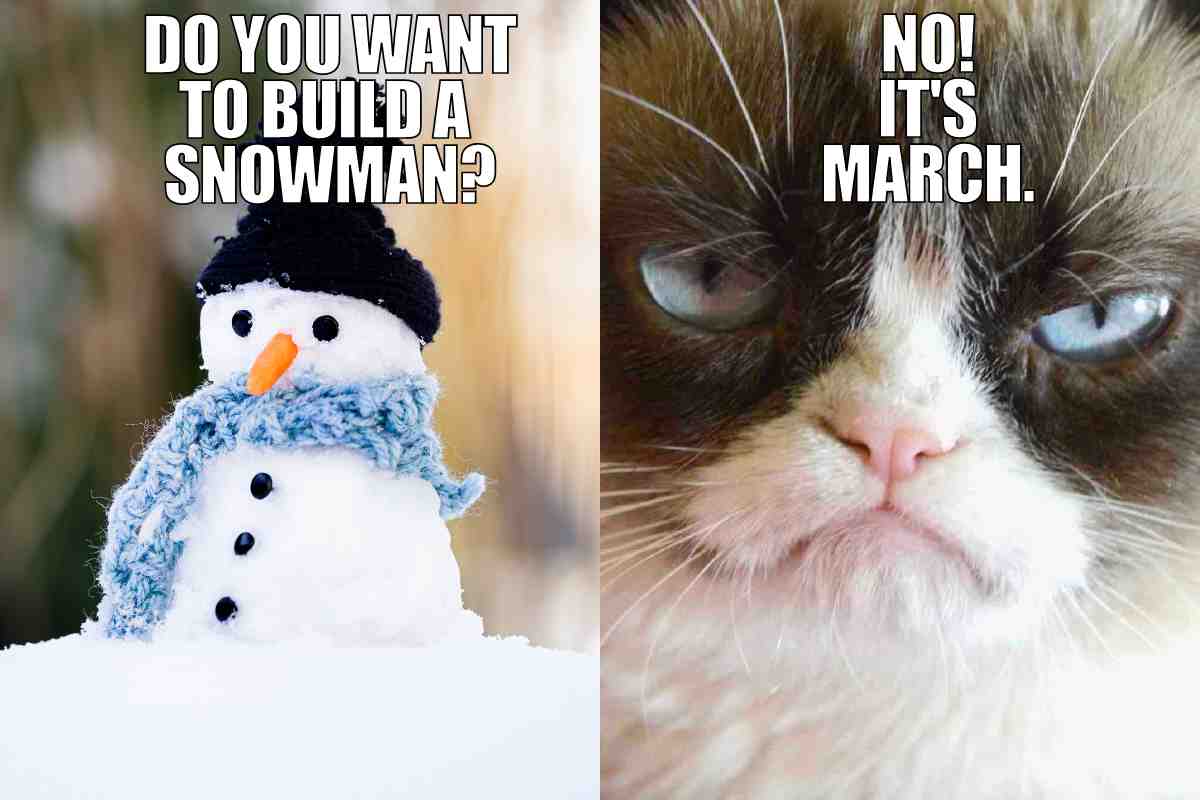 Funny March Memes: Spring Into Humor!