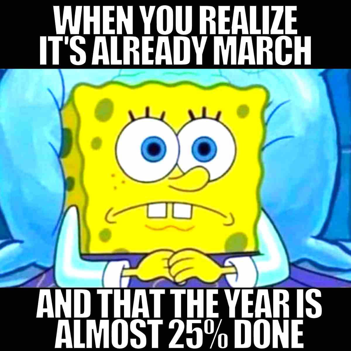 Funny March Memes: Spring Into Humor!
