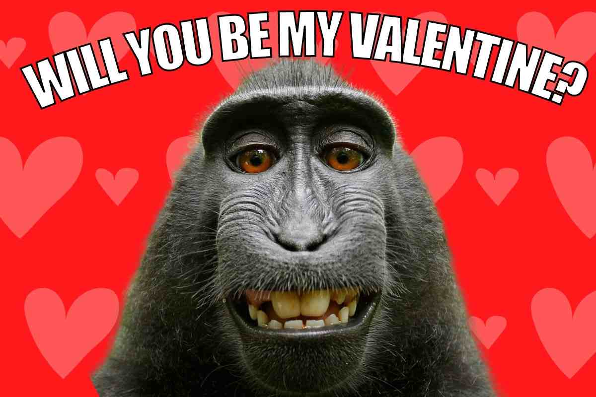 50 Hilarious Valentine Memes For Lovebirds And Singles Alike