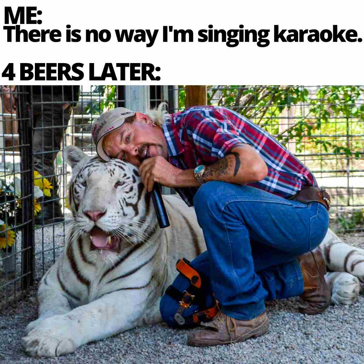 25 Funny Tiger King Memes With Joe Exotic And More