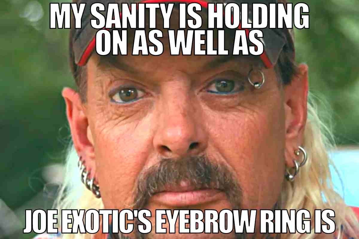 25 Funny Tiger King Memes With Joe Exotic And More