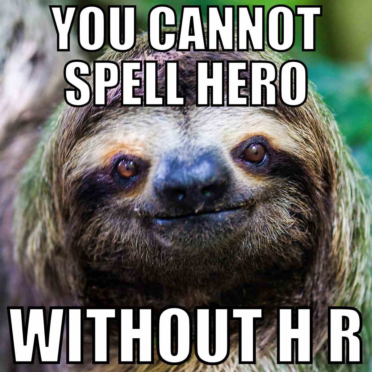 37 Relatable HR Memes Every Human Resource Worker Will Love