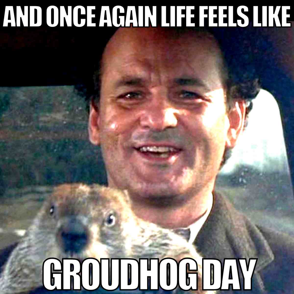 17 Funny Here We Go Again Memes About Life Repeating Itself