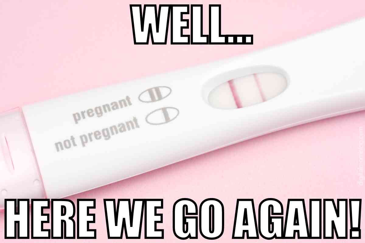 50 Hilarious Pregnancy Memes Every Mom-to-Be Will Relate To