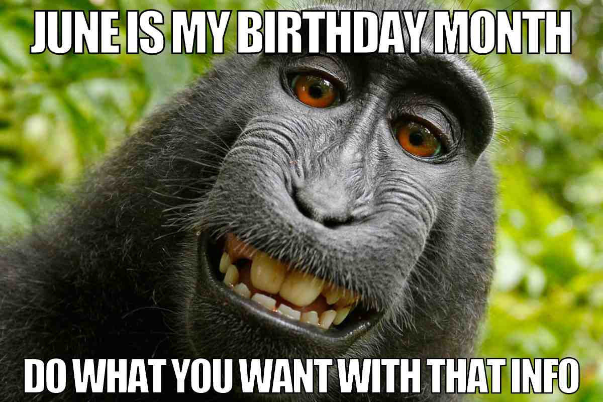 50 Happy Birthday Month Memes: Fun Images To Celebrate