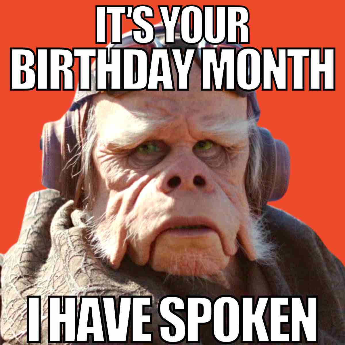 50 Happy Birthday Month Memes: Fun Images To Celebrate