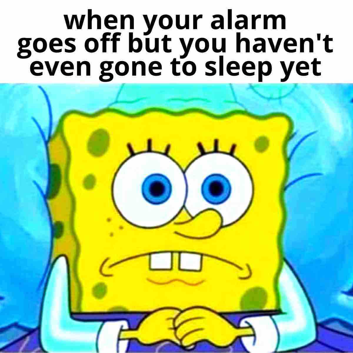 50 SpongeBob Memes That Show Life Is Better Under The Sea