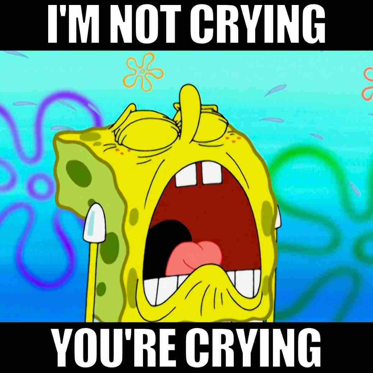 33 Crying Memes For The Crazy Rollercoaster We Call Life