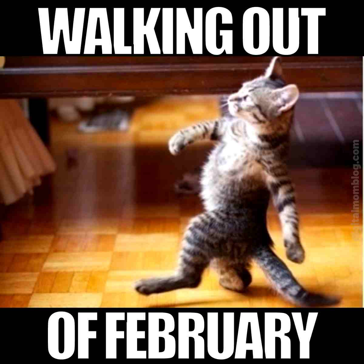 February Memes: Hilarious Images To Start The Month