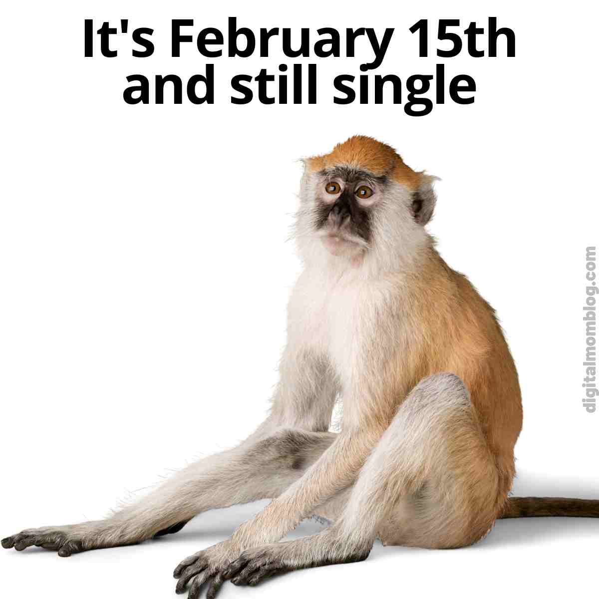 February Memes: Hilarious Images To Start The Month