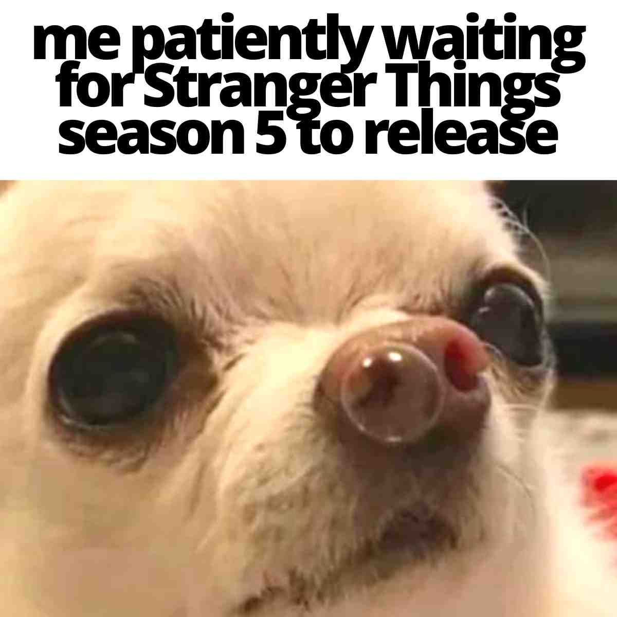 75 Stranger Things Memes That Perfectly Sum Up The Show